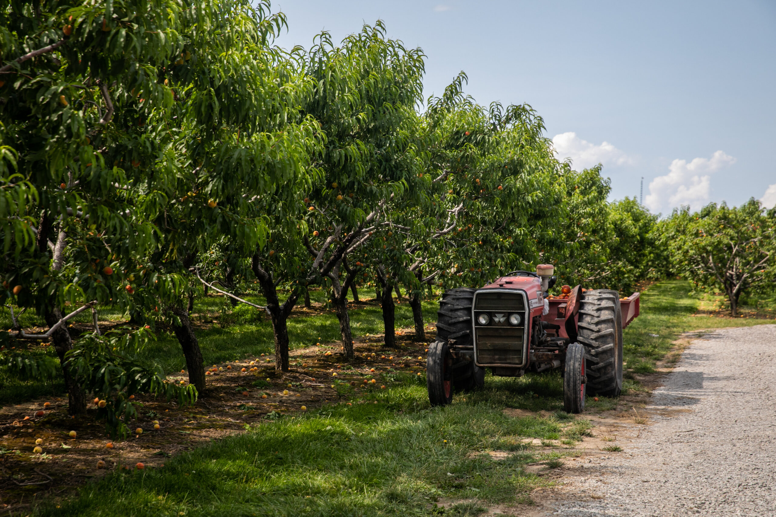 Normal Farm Practices Protection Board